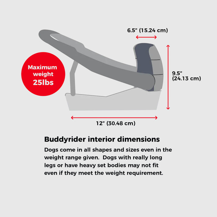 Buddy Rider - dog carrier – tokyobike London